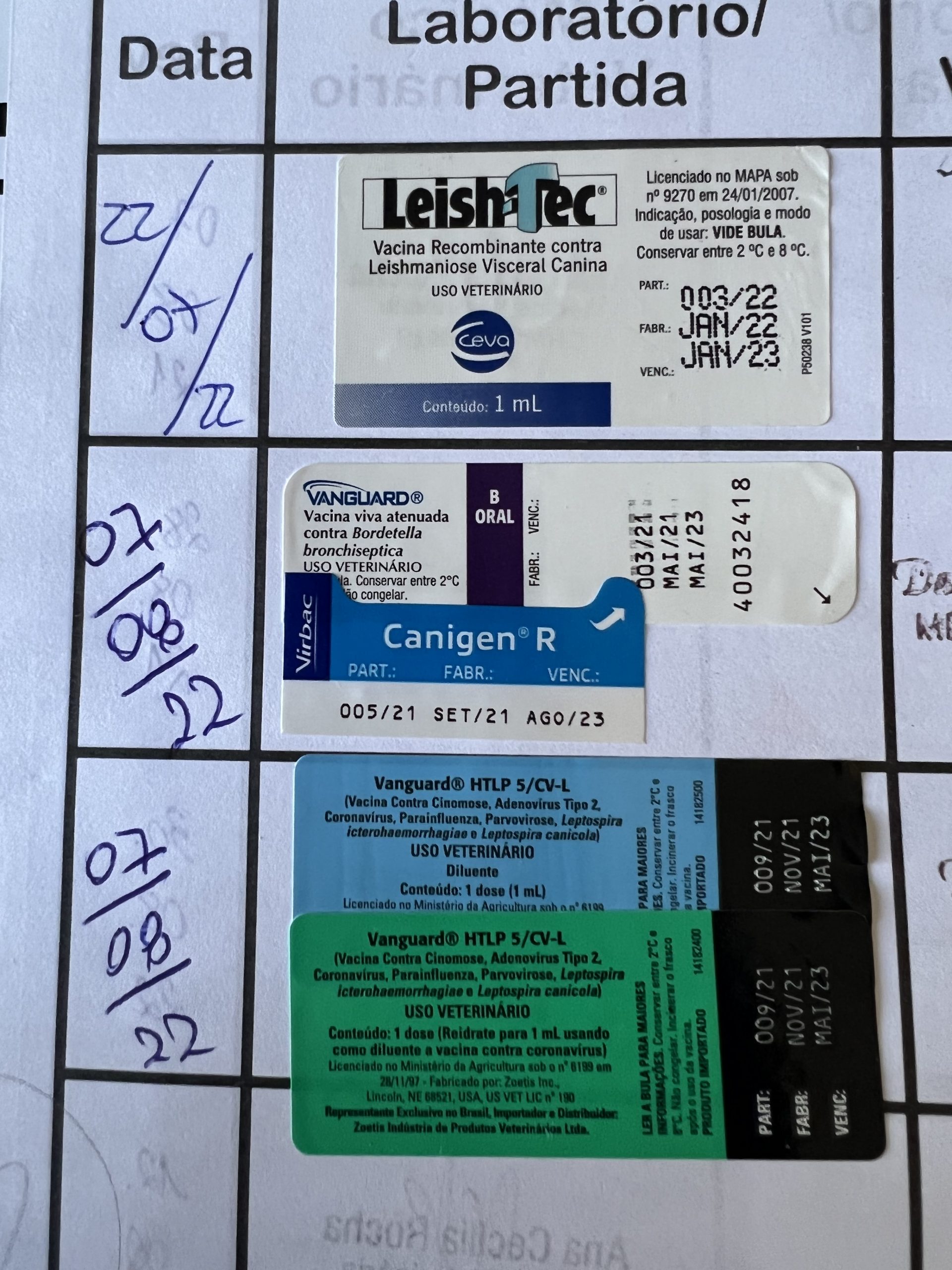 Maze – Brasil Agility