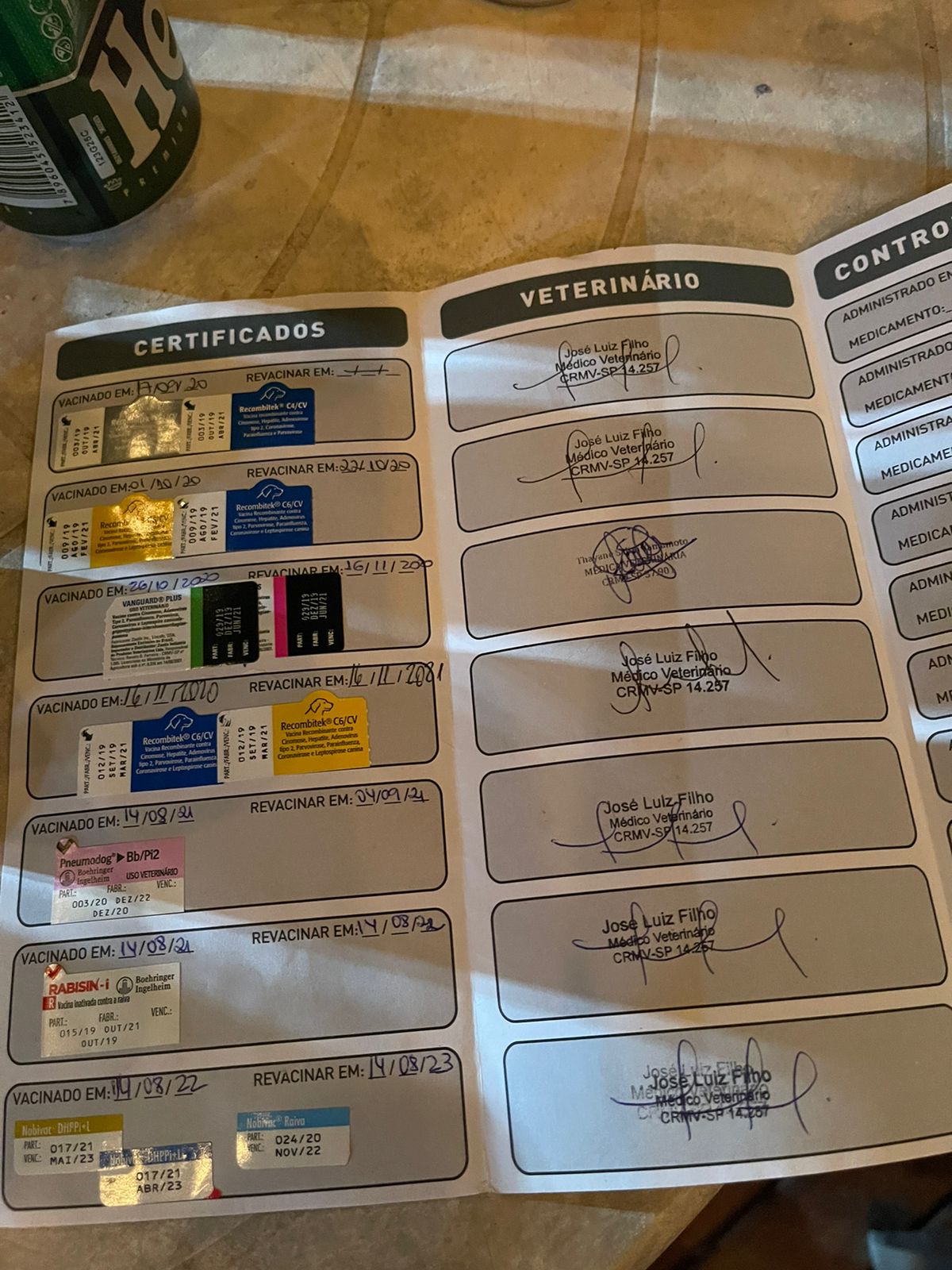 Dinho – Brasil Agility