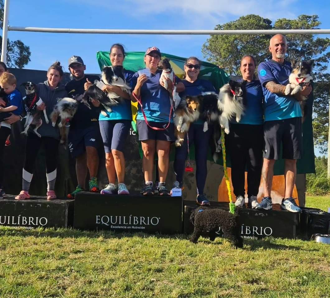 Conquistas do Agility Brasileiro pelo Mundo – Brasil Agility