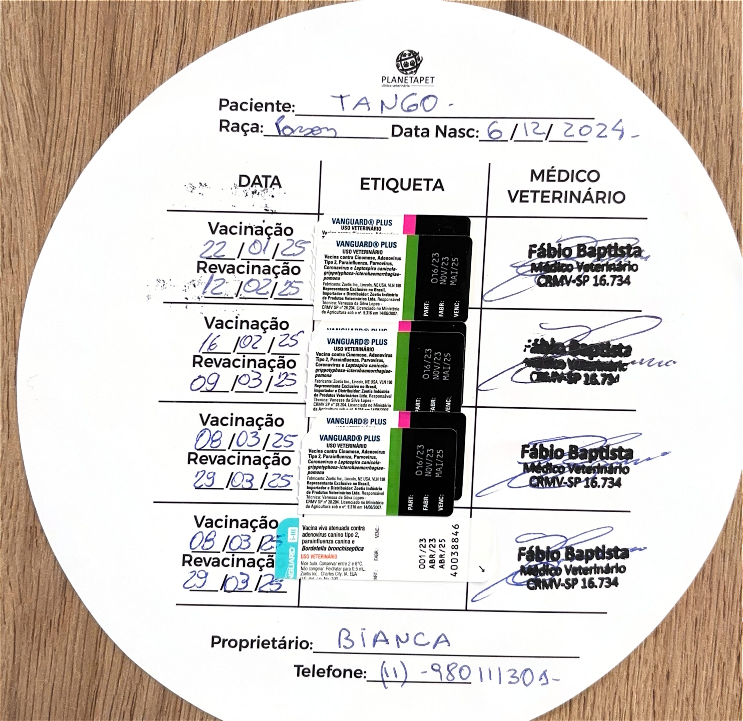 Tango – Brasil Agility