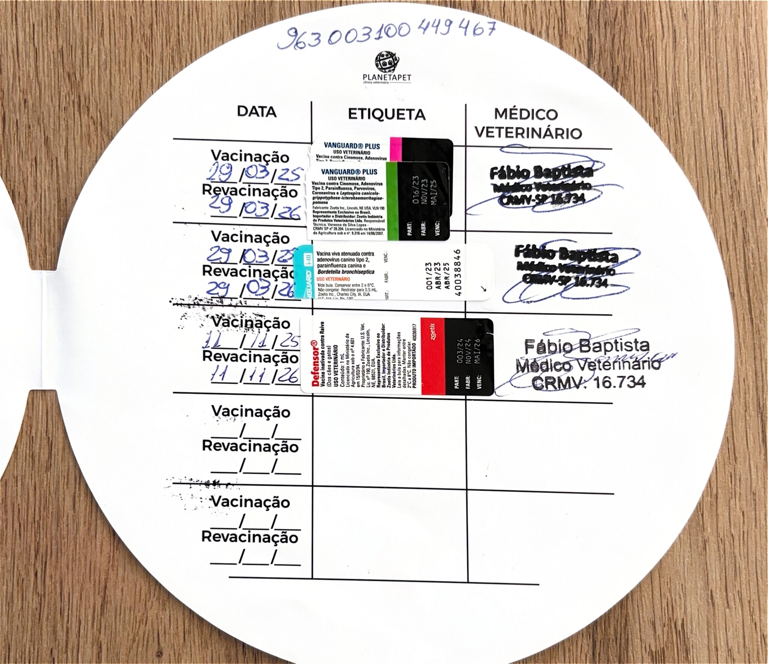 Tango – Brasil Agility